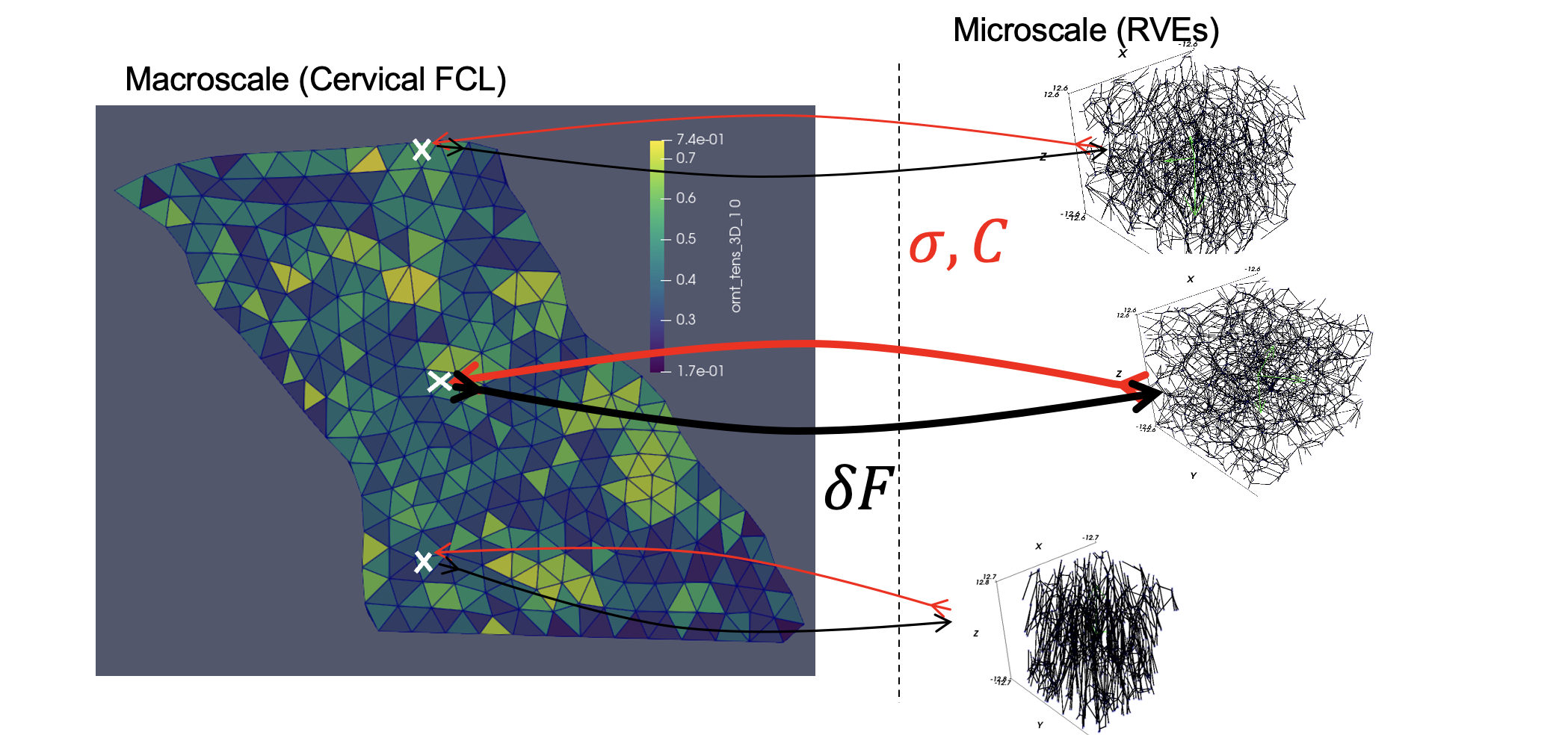 Multiscale Modeling of Fibrous Materials (MuMFiM) | LACES